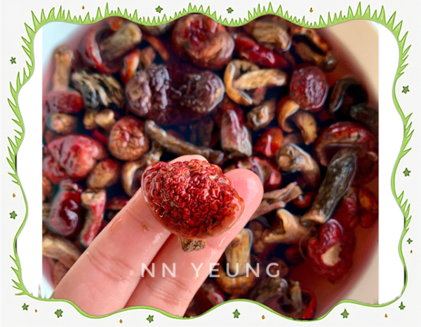 红蘑菇怎么做好吃_红蘑菇炖汤的做法-第3张图片-山城妙识 红蘑菇怎么做好吃_红蘑菇炖汤的做法-第3张图片-山城妙识