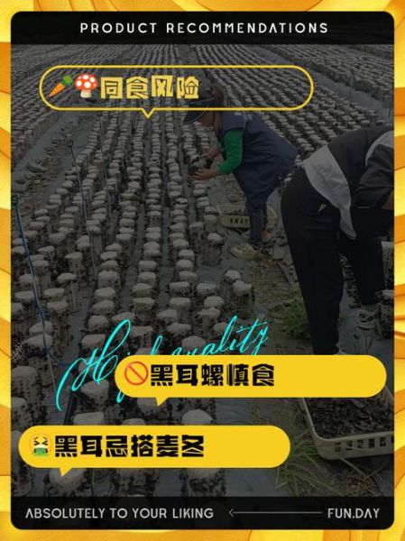 哪些人不宜吃木耳_木耳禁忌人群-第3张图片-山城妙识