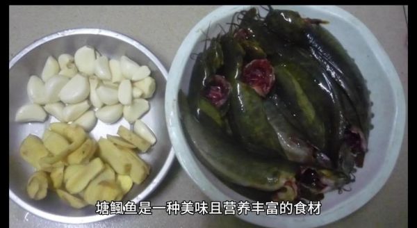 吃塘鲺的禁忌_塘鲺不能和什么一起吃-第1张图片-山城妙识