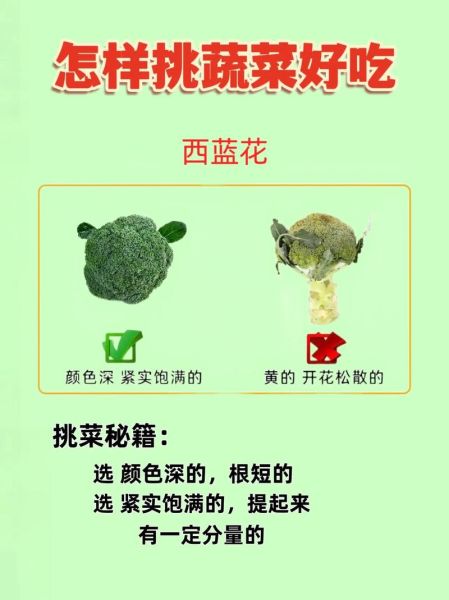 蔬菜种类有哪些_如何挑选新鲜蔬菜-第1张图片-山城妙识 蔬菜种类有哪些_如何挑选新鲜蔬菜-第1张图片-山城妙识