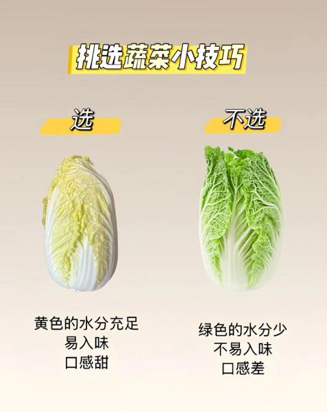 蔬菜种类有哪些_如何挑选新鲜蔬菜-第2张图片-山城妙识 蔬菜种类有哪些_如何挑选新鲜蔬菜-第2张图片-山城妙识