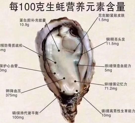 生蚝什么人不能吃_哪些人群吃生蚝有禁忌-第1张图片-山城妙识 生蚝什么人不能吃_哪些人群吃生蚝有禁忌-第1张图片-山城妙识
