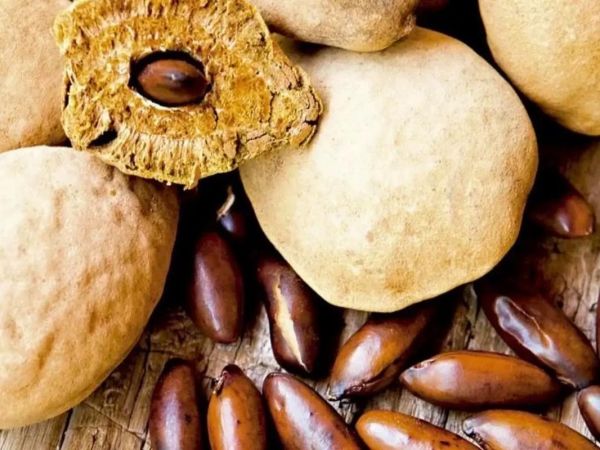 男人壮阳吃什么水果_男人必吃的十大壮阳水果-第1张图片-山城妙识 男人壮阳吃什么水果_男人必吃的十大壮阳水果-第1张图片-山城妙识