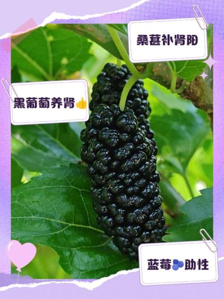 男人壮阳吃什么水果_男人必吃的十大壮阳水果-第2张图片-山城妙识 男人壮阳吃什么水果_男人必吃的十大壮阳水果-第2张图片-山城妙识