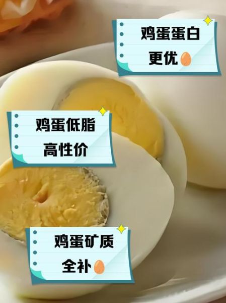 鸽子蛋和鸡蛋哪个营养高_鸽子蛋和鸡蛋营养价值对比-第3张图片-山城妙识