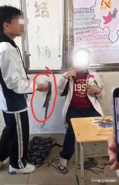 湛江财贸学校操场事件_真相是什么-第1张图片-山城妙识