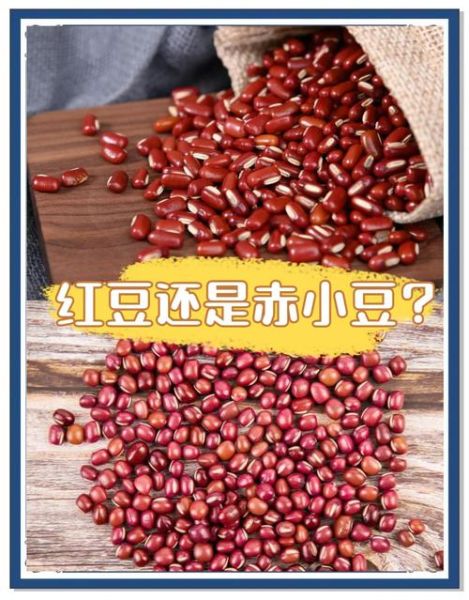 红豆与赤小豆的功效区别_哪个更适合祛湿-第3张图片-山城妙识