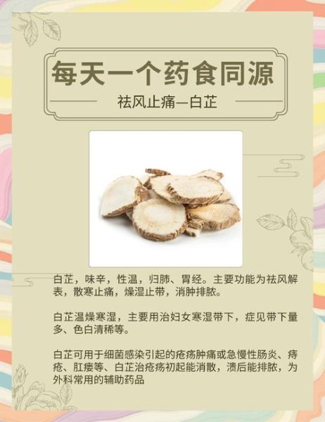 白芷的功效与作用_白芷的禁忌有哪些-第3张图片-山城妙识