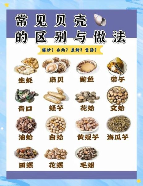 贝类海鲜固碳原理_贝类固碳能力排名-第1张图片-山城妙识