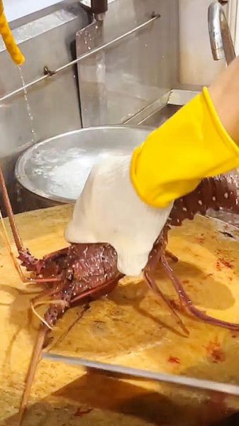 大龙虾怎么清洗_大龙虾怎么处理干净-第3张图片-山城妙识