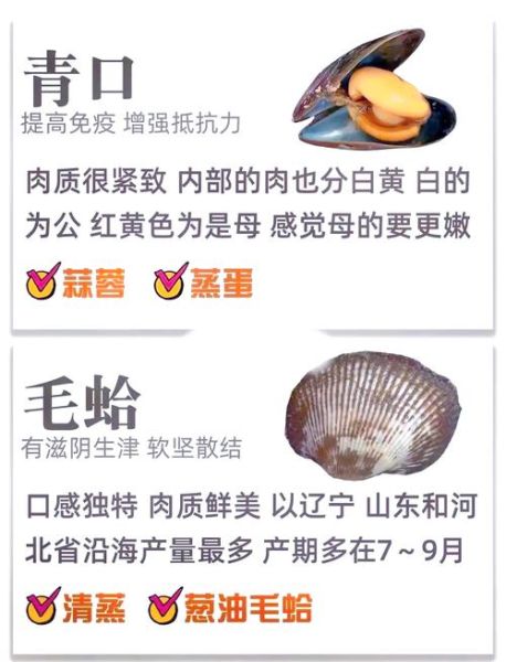 贝类海鲜固碳原理_贝类固碳能力排名-第3张图片-山城妙识