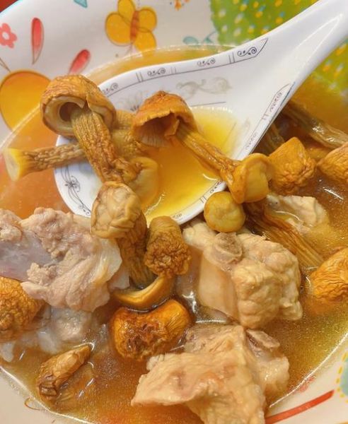 新鲜姬松茸怎么做好吃_姬松茸煲汤做法大全-第1张图片-山城妙识