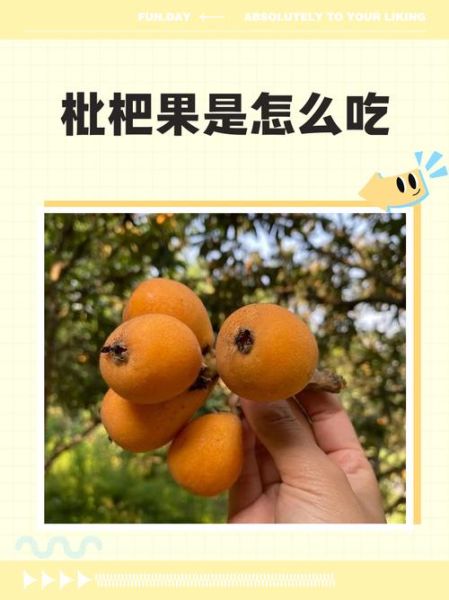 枇杷怎么吃治咳嗽_枇杷止咳的正确吃法-第2张图片-山城妙识