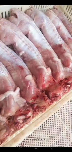 兔肉价格行情_兔肉多少钱一斤-第2张图片-山城妙识
