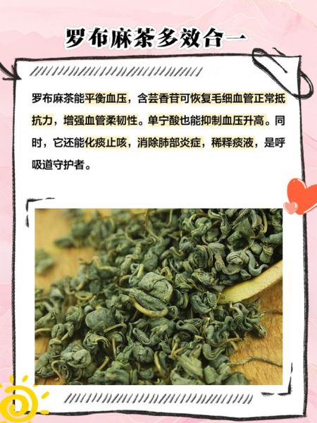 罗布麻茶降血压真的有用吗_罗布麻茶哪些人不能喝-第3张图片-山城妙识