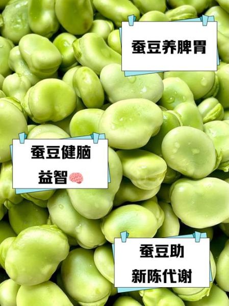 女人吃蚕豆坏处_女性吃蚕豆有哪些副作用-第3张图片-山城妙识