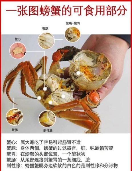 螃蟹哪些部位不能吃_螃蟹不能吃的部位图解精图-第1张图片-山城妙识 螃蟹哪些部位不能吃_螃蟹不能吃的部位图解精图-第1张图片-山城妙识
