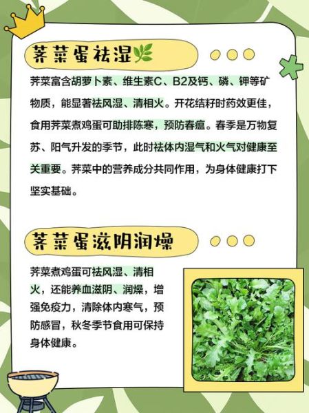 荠菜煮鸡蛋怎么做_荠菜煮鸡蛋的功效-第1张图片-山城妙识 荠菜煮鸡蛋怎么做_荠菜煮鸡蛋的功效-第1张图片-山城妙识