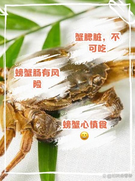 螃蟹哪些部位不能吃_螃蟹不能吃的部位图解精图-第3张图片-山城妙识 螃蟹哪些部位不能吃_螃蟹不能吃的部位图解精图-第3张图片-山城妙识