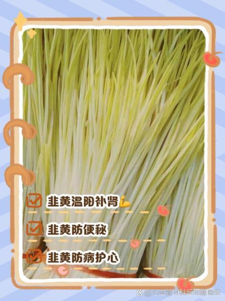 韭黄的功效与作用_韭黄什么人不能吃-第1张图片-山城妙识