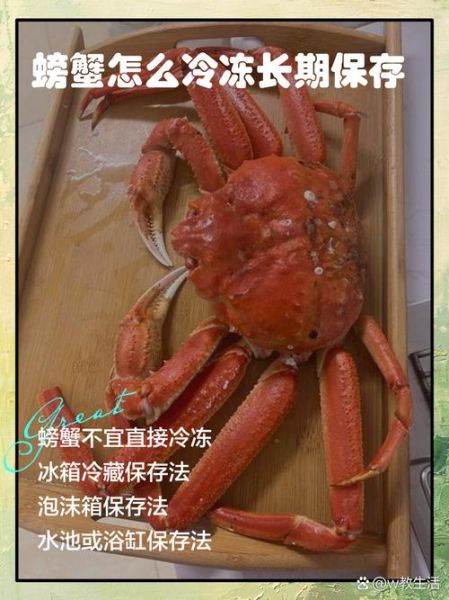 活螃蟹杀了能保存多久_杀好的螃蟹冷藏还是冷冻-第1张图片-山城妙识 活螃蟹杀了能保存多久_杀好的螃蟹冷藏还是冷冻-第1张图片-山城妙识
