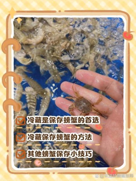 活螃蟹杀了能保存多久_杀好的螃蟹冷藏还是冷冻-第3张图片-山城妙识 活螃蟹杀了能保存多久_杀好的螃蟹冷藏还是冷冻-第3张图片-山城妙识