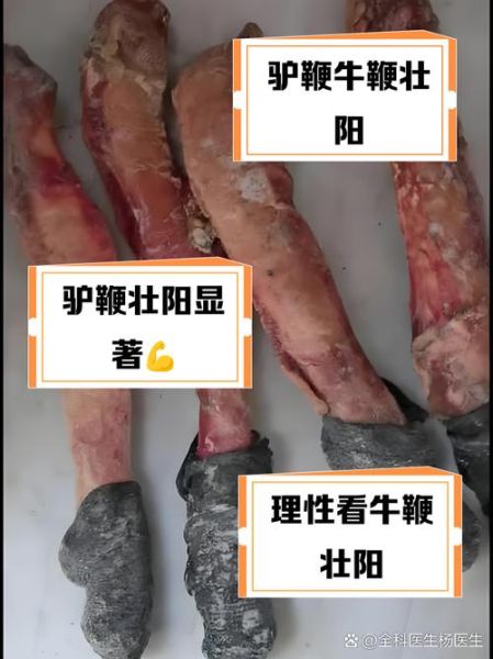 驴鞭是哪个部位_驴鞭的功效与作用-第1张图片-山城妙识