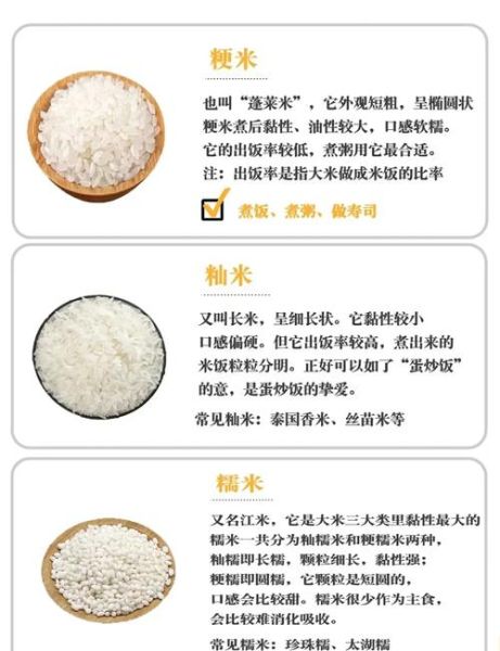 粳米和大米有什么区别_粳米图片怎么识别-第1张图片-山城妙识