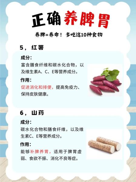 脾虚吃什么食物补最好_脾虚怎么调理最快-第1张图片-山城妙识 脾虚吃什么食物补最好_脾虚怎么调理最快-第1张图片-山城妙识