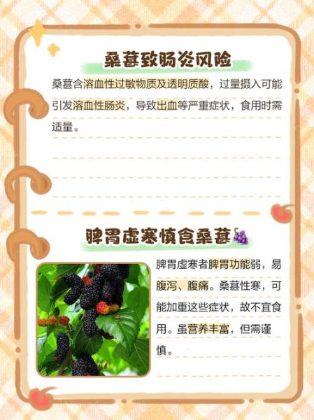 桑葚的副作用有哪些_桑葚吃多了有什么危害-第1张图片-山城妙识 桑葚的副作用有哪些_桑葚吃多了有什么危害-第1张图片-山城妙识