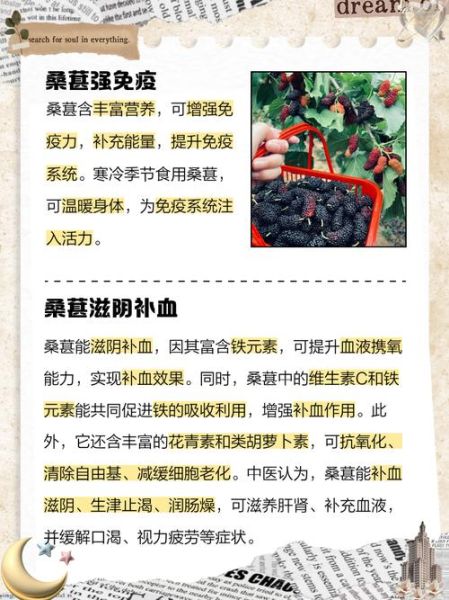 桑葚的副作用有哪些_桑葚吃多了有什么危害-第2张图片-山城妙识 桑葚的副作用有哪些_桑葚吃多了有什么危害-第2张图片-山城妙识