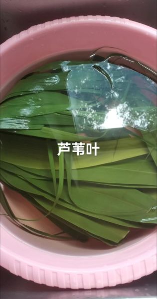 粽叶芦是什么植物_粽叶芦可以包粽子吗-第3张图片-山城妙识 粽叶芦是什么植物_粽叶芦可以包粽子吗-第3张图片-山城妙识