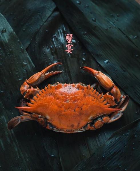 螃蟹怎么煮好吃又简单_清蒸螃蟹几分钟-第1张图片-山城妙识