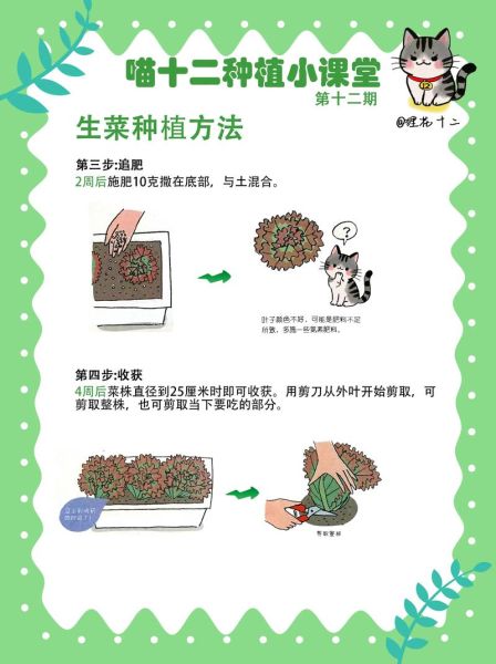 蔬菜种植技术培训_新手如何快速上手-第1张图片-山城妙识