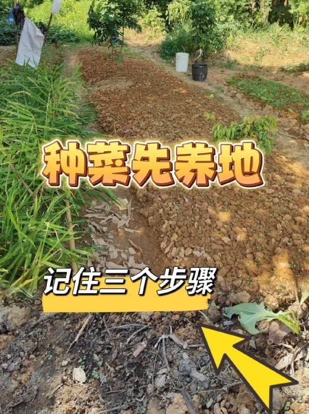 蔬菜种植技术培训_新手如何快速上手-第3张图片-山城妙识