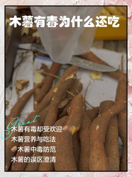 有毒木薯和无毒木薯的区别_如何辨别-第2张图片-山城妙识