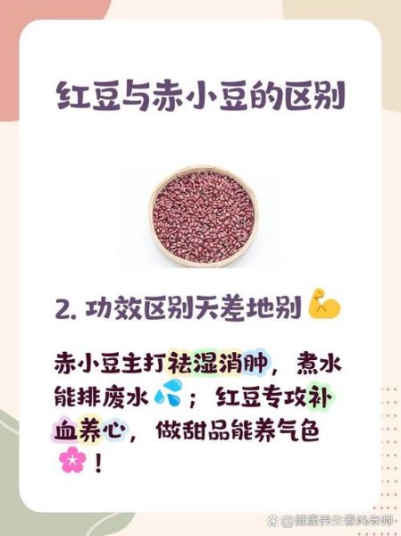 赤小豆和红豆的区别图片_哪个祛湿更好-第3张图片-山城妙识