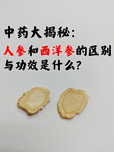 西洋参三种人不能吃_孕妇能吃西洋参吗-第2张图片-山城妙识