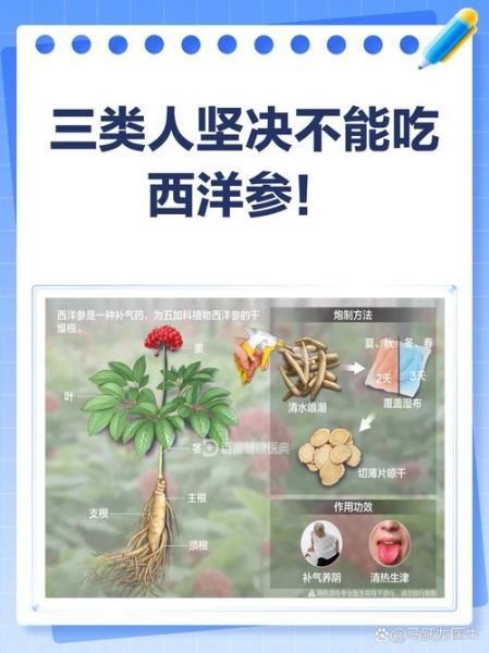 西洋参三种人不能吃_孕妇能吃西洋参吗-第3张图片-山城妙识