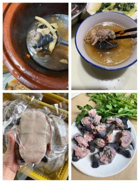清炖乌龟汤的做法大全_乌龟汤怎么炖不腥-第1张图片-山城妙识 清炖乌龟汤的做法大全_乌龟汤怎么炖不腥-第1张图片-山城妙识