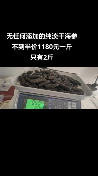 海参价格多少钱一斤_海参价格受哪些因素影响-第2张图片-山城妙识