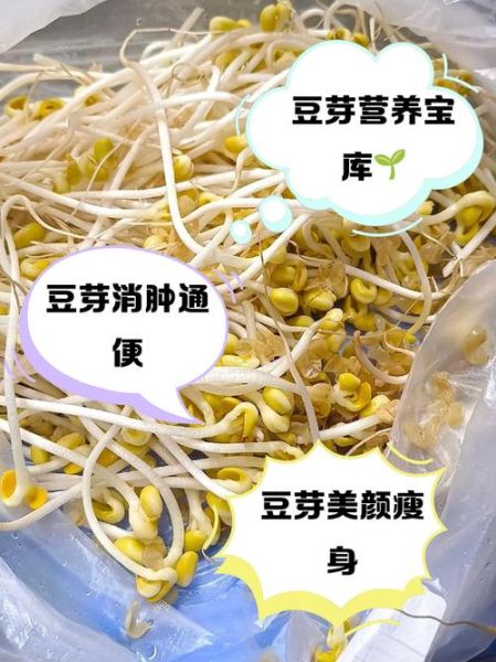 豆芽热量是多少_减肥能吃豆芽吗-第3张图片-山城妙识 豆芽热量是多少_减肥能吃豆芽吗-第3张图片-山城妙识