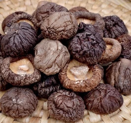 肉菇怎么挑选_肉菇和香菇的区别-第1张图片-山城妙识 肉菇怎么挑选_肉菇和香菇的区别-第1张图片-山城妙识