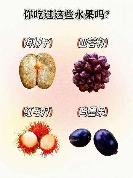 十大稀有水果有哪些_它们为什么珍贵-第2张图片-山城妙识