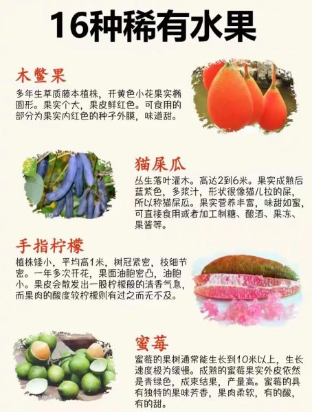 十大稀有水果有哪些_它们为什么珍贵-第1张图片-山城妙识