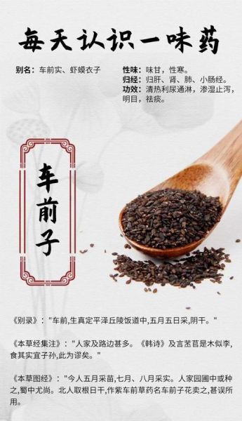 车前子功效与副作用_车前子怎么吃才安全-第2张图片-山城妙识