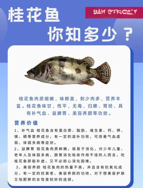 桂鱼和什么鱼混养最好_混养注意事项-第2张图片-山城妙识