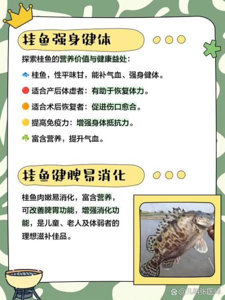 桂鱼和什么鱼混养最好_混养注意事项-第3张图片-山城妙识