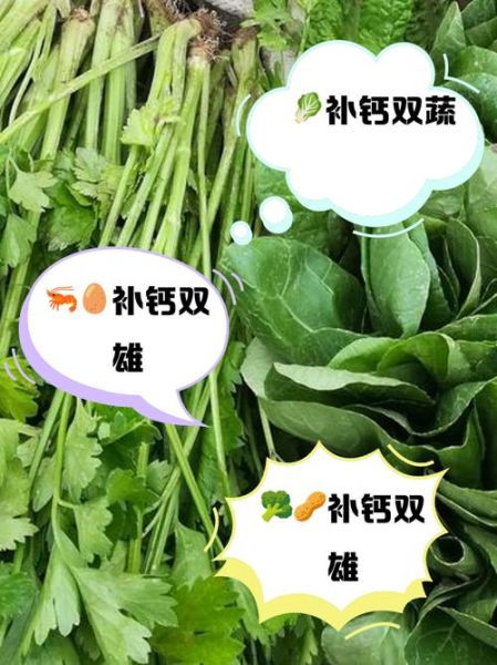 哪些蔬菜最补钙_吃什么蔬菜补钙最快-第3张图片-山城妙识