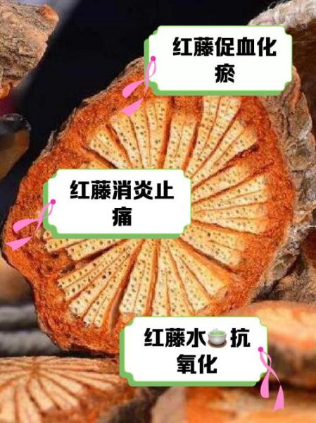 红藤的功效与作用有哪些_红藤主治什么病-第2张图片-山城妙识